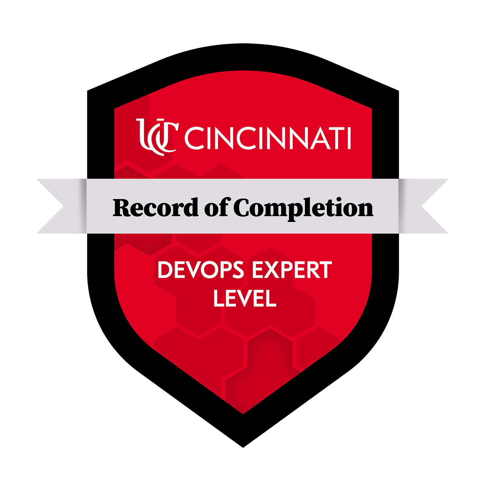 CE-18PA1007X DevOps Engineer Expert Bootcamp | University of Cincinnati