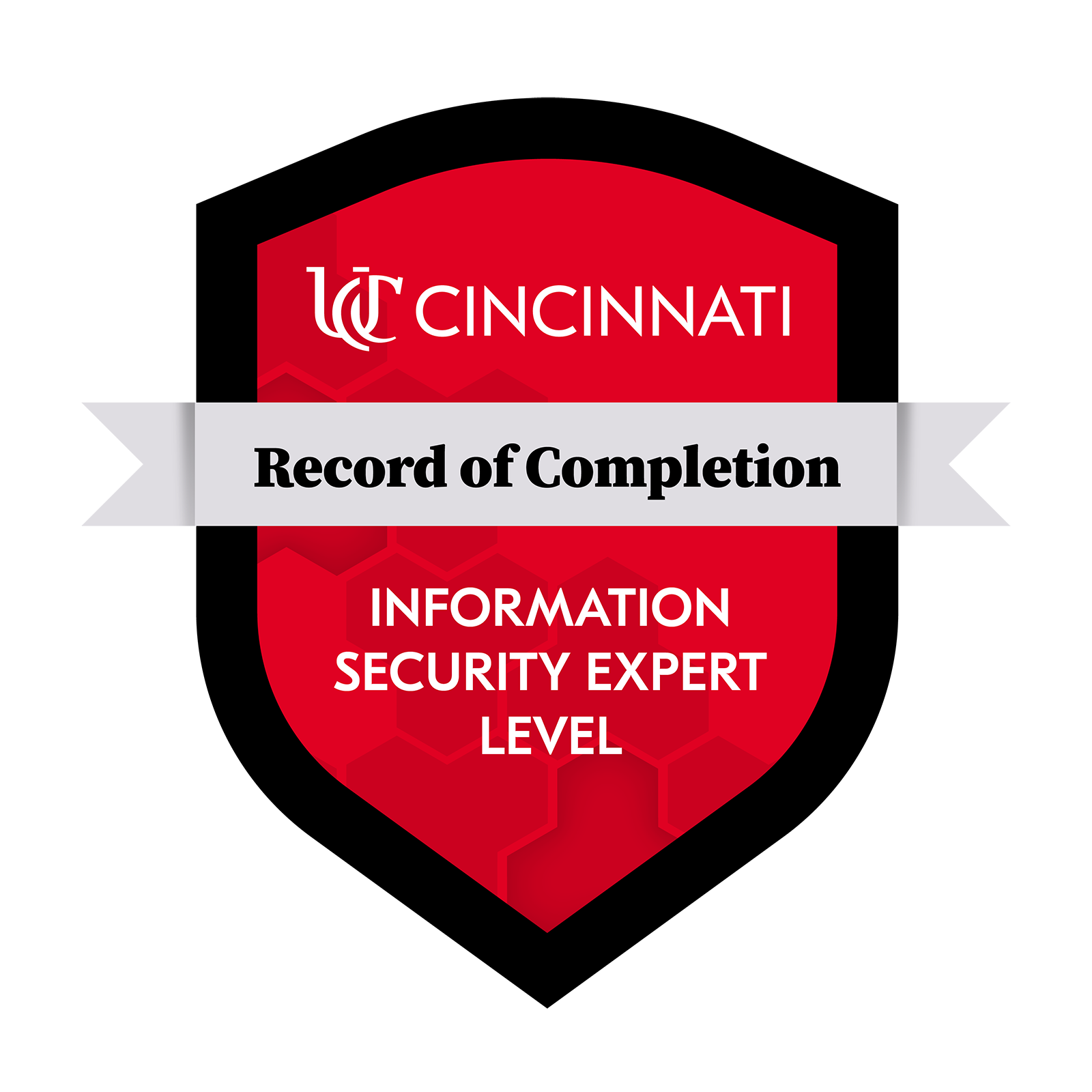 CE-18PA1008X Certified Information Systems Security Professionals ...